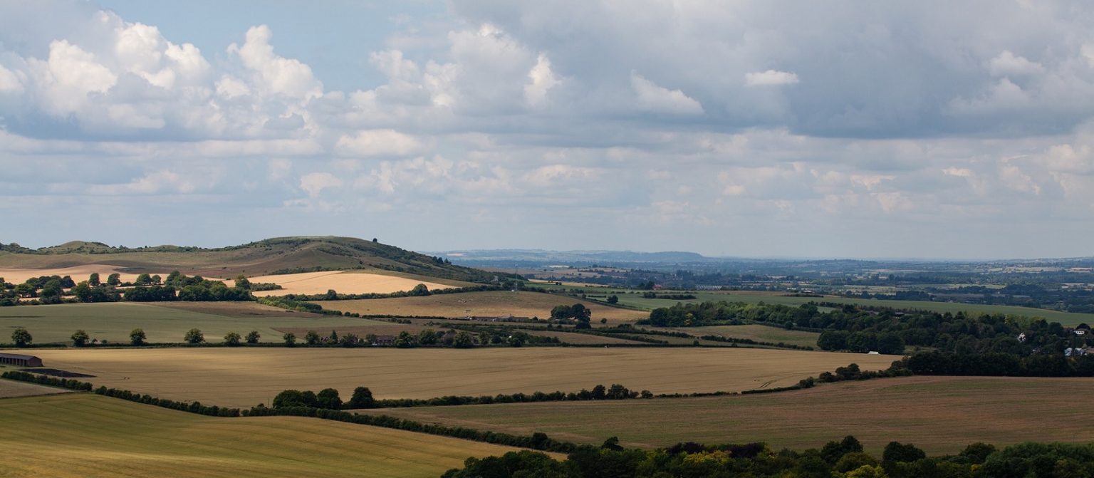 Simple Life Homes: Beautiful modern new build family homes for rent