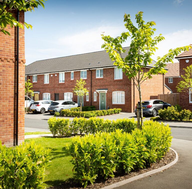 Build To Rent | Simple Life Homes