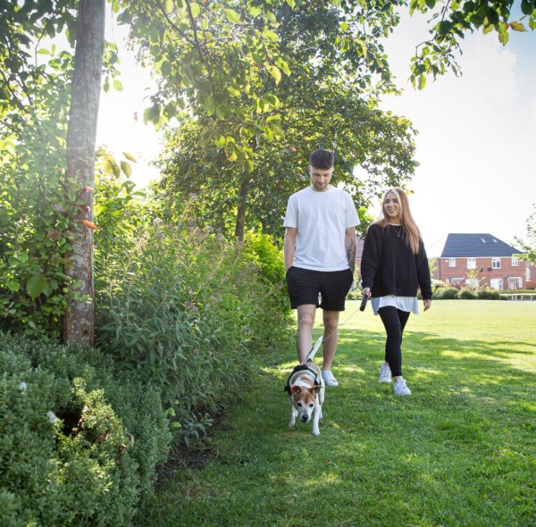 Build To Rent | Simple Life Homes